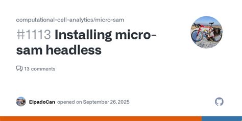 Installing Micro Sam Headless · Issue 1113 · Computational Cell Analyticsmicro Sam · Github