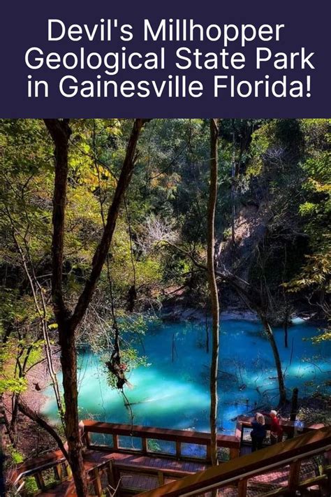 Devils Millhopper Geological State Park In Gainesville Florida Outdoors Adventure State