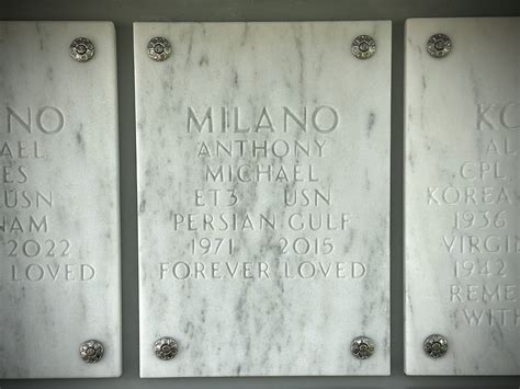 Anthony Milano Flags For Fort Snelling