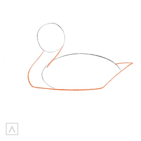 Easy Step Duck Drawing That You Will Like ARTEZA