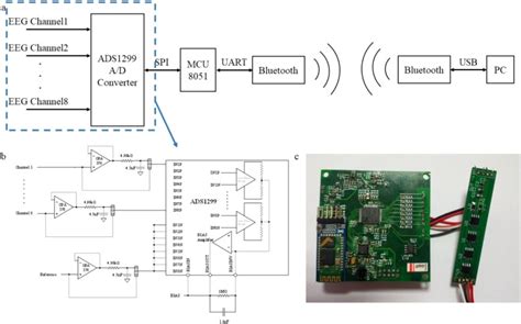 eeg electrode circuit diagram circuit diagram