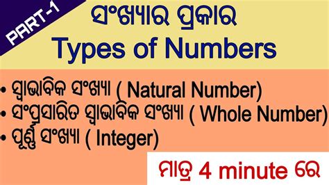 ସଖୟର ପରକର Types of Numbers Difference between Natural Numbers Whole Number Integer in