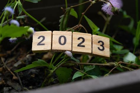 Numeric 2023 Welcoming New Year Stock Image Image Of Santa Present