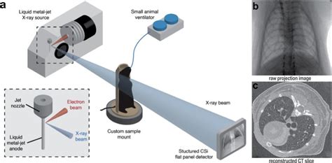 A Experimental Image Acquisition Setup Propagation Based Phase