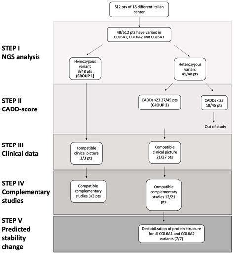 Next Generation Sequencing Schematic