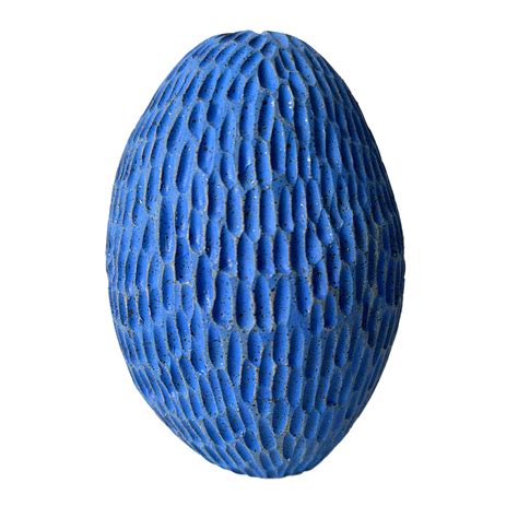 Seed Pod Delphinium Vessel Coastal Wave Rim — Demetria Chappo
