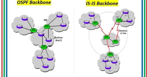 A Quick Difference Ospf Vs Is Is Dynamic Routing Protocol The Network Dna