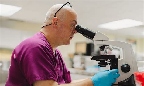 ¿qué Es La Prueba Velocidad De Sedimentación Globular Policlinica