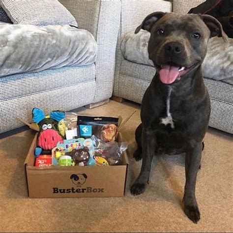 Your Guide To Busterbox How It Works What To Expect Why Its Worth