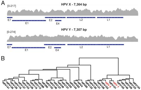 A Coverage And Profile Of Reads From Sample S18 Mapped To The