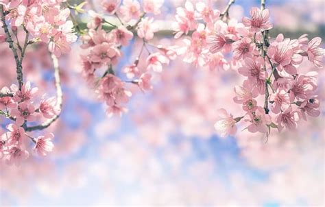 Create A Realistic 3d Environment Design In Unreal Engine By Seleboro