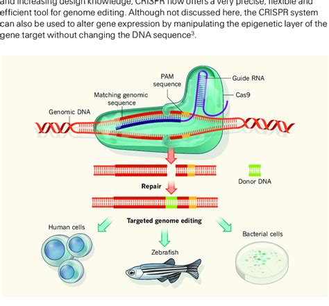 Figure Crispr Hacking The Biological Hard Drive Source Emmanuelle