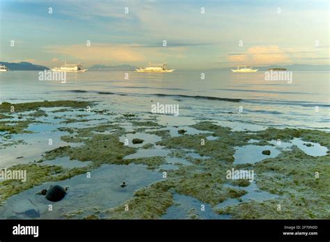 Low Tide Moalboal Cebu Central Visayas Philippines Dving Boats