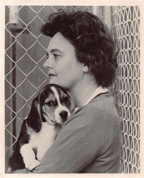 The Remarkable Books Of Ann Cottrell Free