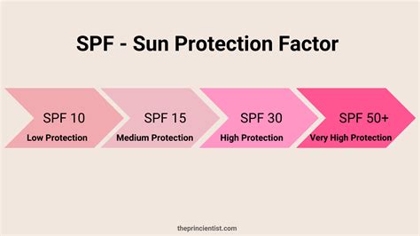 What Is Sunscreen Why You Need It For Healthy Skin The Princientist