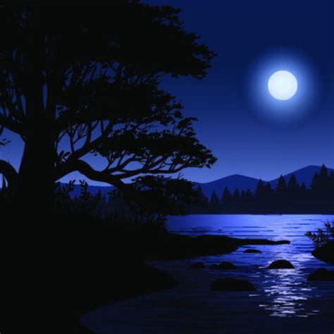 Saif Khalid Analyst Master Of Engineering University Of