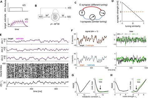 Figures And Data In Efficient Coding In Biophysically Realistic Excitatory Inhibitory Spiking