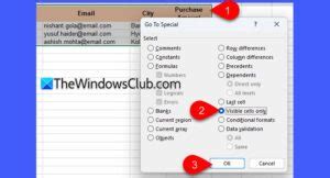 How To Copy Only Visible Cells In Excel And Google Sheets