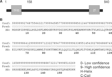 Structure Prediction Of The N Terminal Domain Of Human Pnuts Consensus