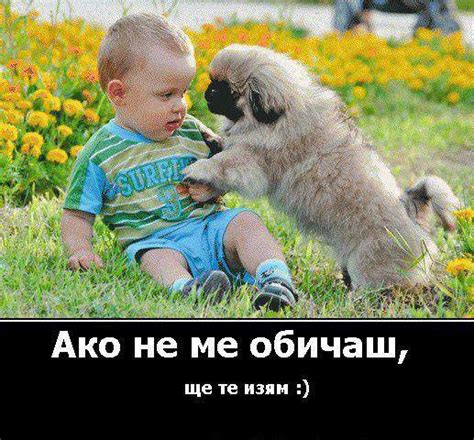 Кучето Моят най добър приятел Home