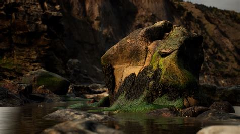 Leaked Game Assets Brushify Beach Pack