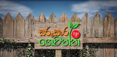 බොහෝ දෙනෙක් තමන්ගේ විවේක කාලය ගෙවතු වගාව වෙනුවෙන් යොදවන්න පුරුදු වෙලා ඉන්නවා ඉඩකඩ අඩු පරිසරයක