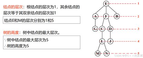 数据结构与算法 期末备考重点总结数据结构与算法考试重点 Csdn博客