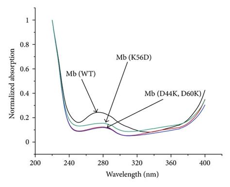Absorbance Spectra Of 5 μ M Myoglobin And Mutants Download