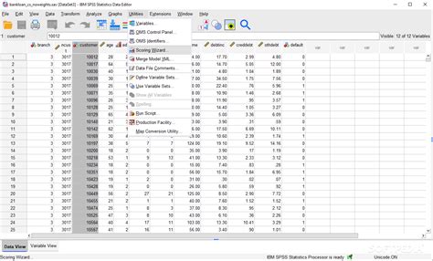 ibm spss statistics download free windows 30 0 0 0 softpedia
