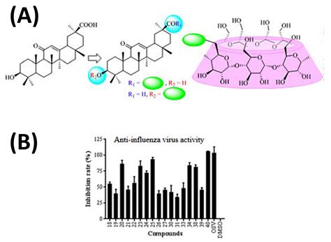 The Role Of Cyclodextrins In Covid 19 Therapy—a Literature Review