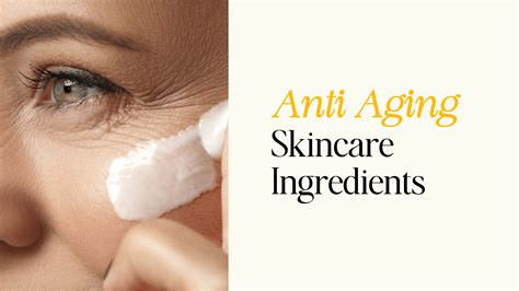 Anti Aging Ingredients Anti Aging Ingredients Anti Aging Skincare