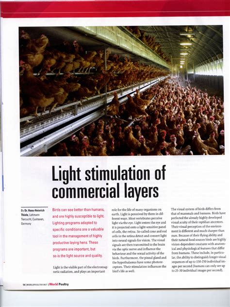 Light Stimulation Of Commercial Layers Pdf