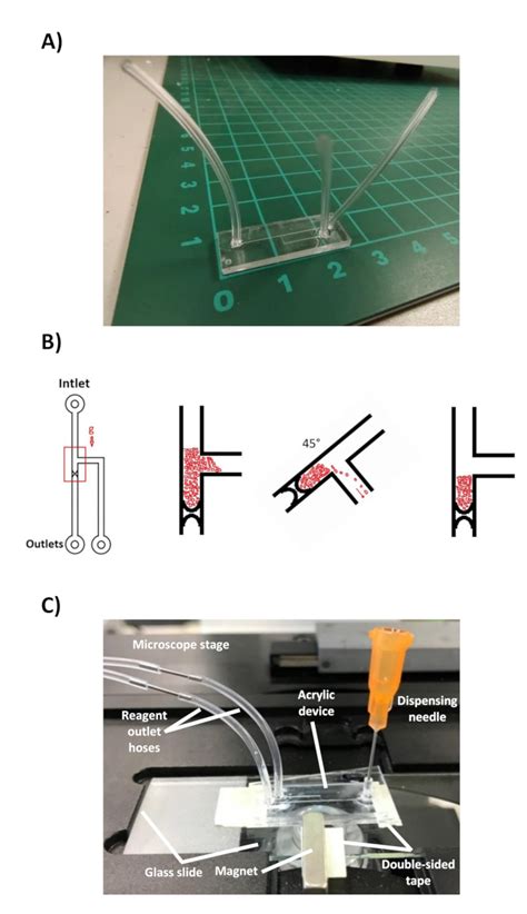 A Magnetic Nanoparticle Based Immunoassay Using A Microfluidic Device