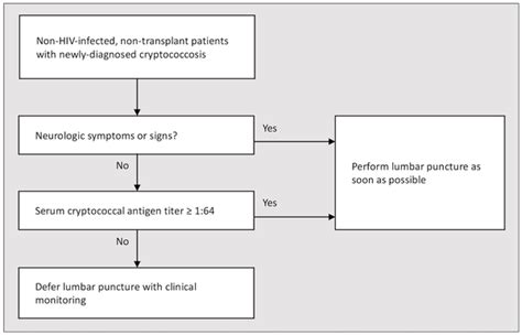 Cryptococcus Neoformans Plos One