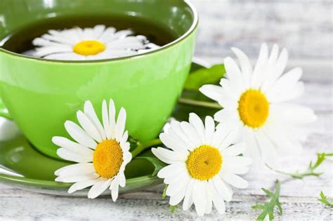 Гинекологический сбор трав противовоспалительный