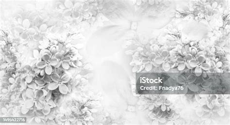 꽃무늬 흰색검정색 봄 배경입니다 라일락 꽃의 배경입니다 휴일 기념일 축하를위한 엽서 자연 개화기에 대한 스톡 사진 및 기타 이미지 Istock