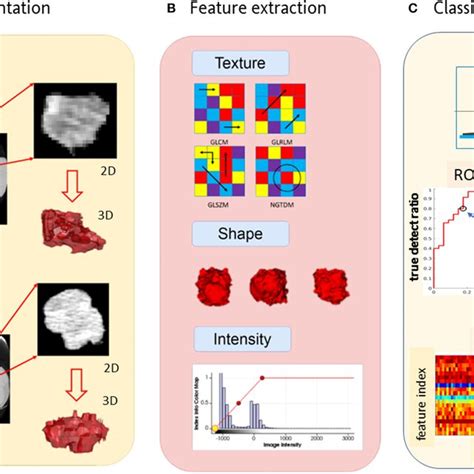 Schema For Lung Cancer Segmentation Radiomic Feature Extraction And