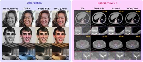 Github Hyungjin Chungmcgdiffusion Official Pytorch Implementation Of The Neurips 2022 Paper