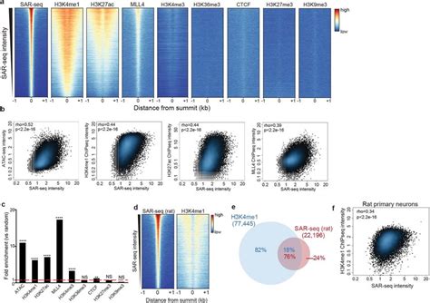 The Correlation Between Sar Seq And Chromatin Features A Heat Maps Of