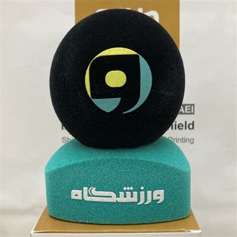 بادگیر میکروفون دو طرفه بادگیر و فوم میکروفون