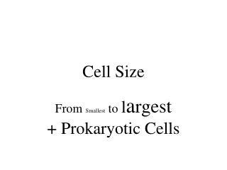 PPT I Cell Shape And Size PowerPoint Presentation Free Download ID