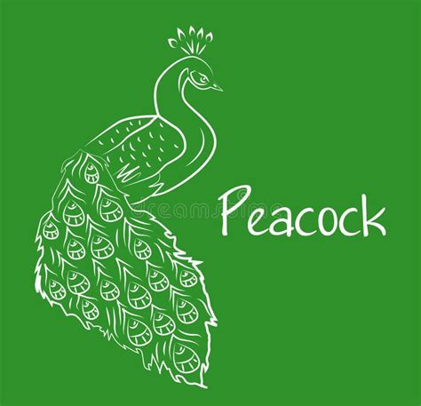 Peacock Line Art Stock Vector Illustration Of Cartoon 247393357