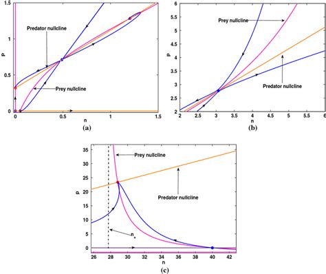 Strong Allee Effect Case H2 And A1 Mutual Position Of Download Scientific Diagram