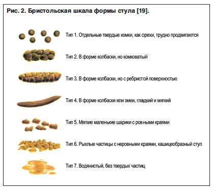 Кал - что такое фекалии и зачем они нужны?
