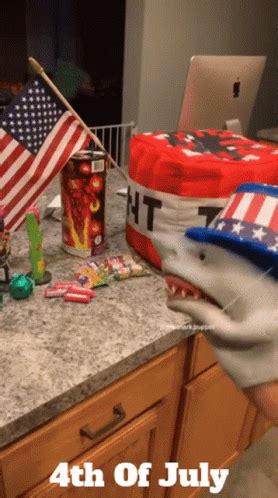 4th Of July Funny S Download And Share