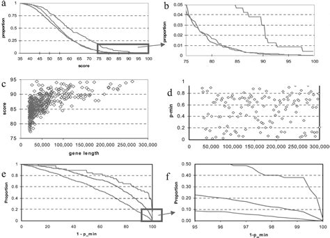 The P53mh Algorithm And Its Application In Detecting P53 Responsive