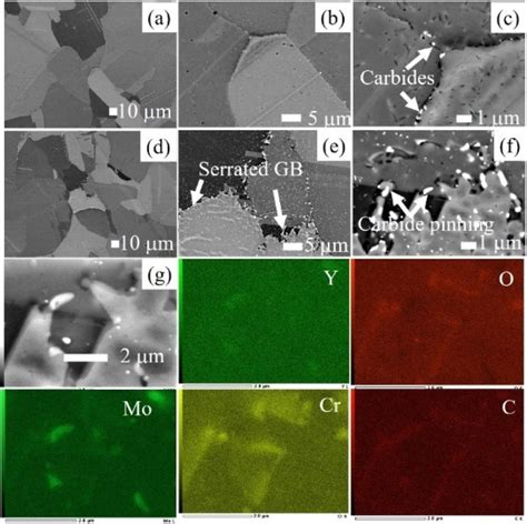 Fe Sem Microstructures Before The Creep Test Along The Vertical Download Scientific Diagram