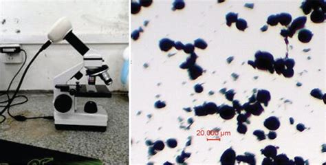 Microscope And Microscopic Dust Image Download Scientific Diagram