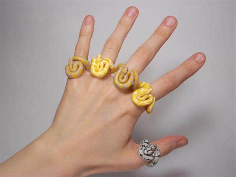 Count Blue Ball Python Ring Noveltystreet