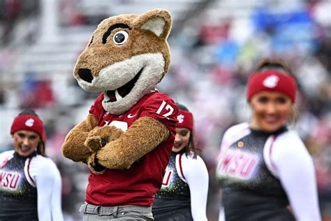 10 Best College Football Picks Against The Spread Week 10 Yahoo Sports